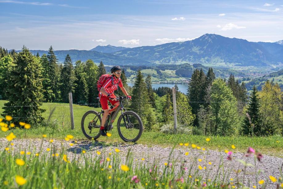 E Bike Pedelec S Pedelec Wo Liegt Der Unterschied Freenet De