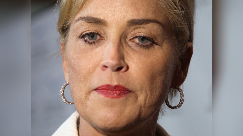 Verlor Sharon Stone wegen "Basic Instinct" das Sorgerecht?