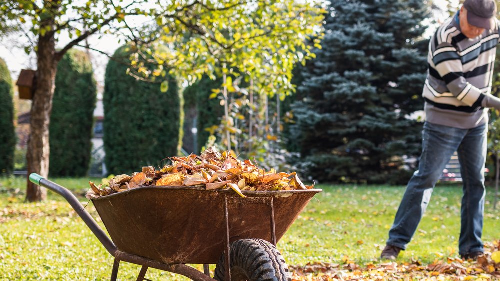 Gartenarbeit im Herbst: So werden Laub, Äste und Co. richtig entsorgt